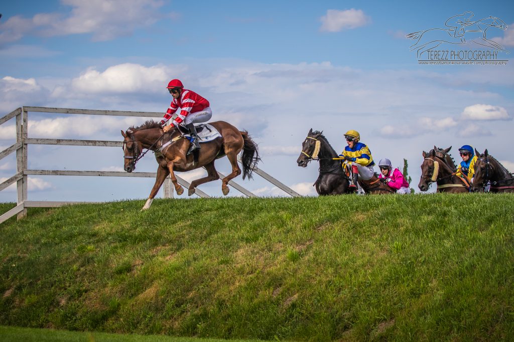 Vandual tretí v kvalifikácii, z Brečkových koní dokončil len Rui ...